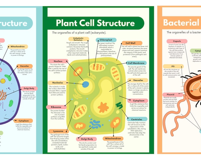 EDU- Cell Saga (animal, Plant, and Bacterium Bundle) - Etsy