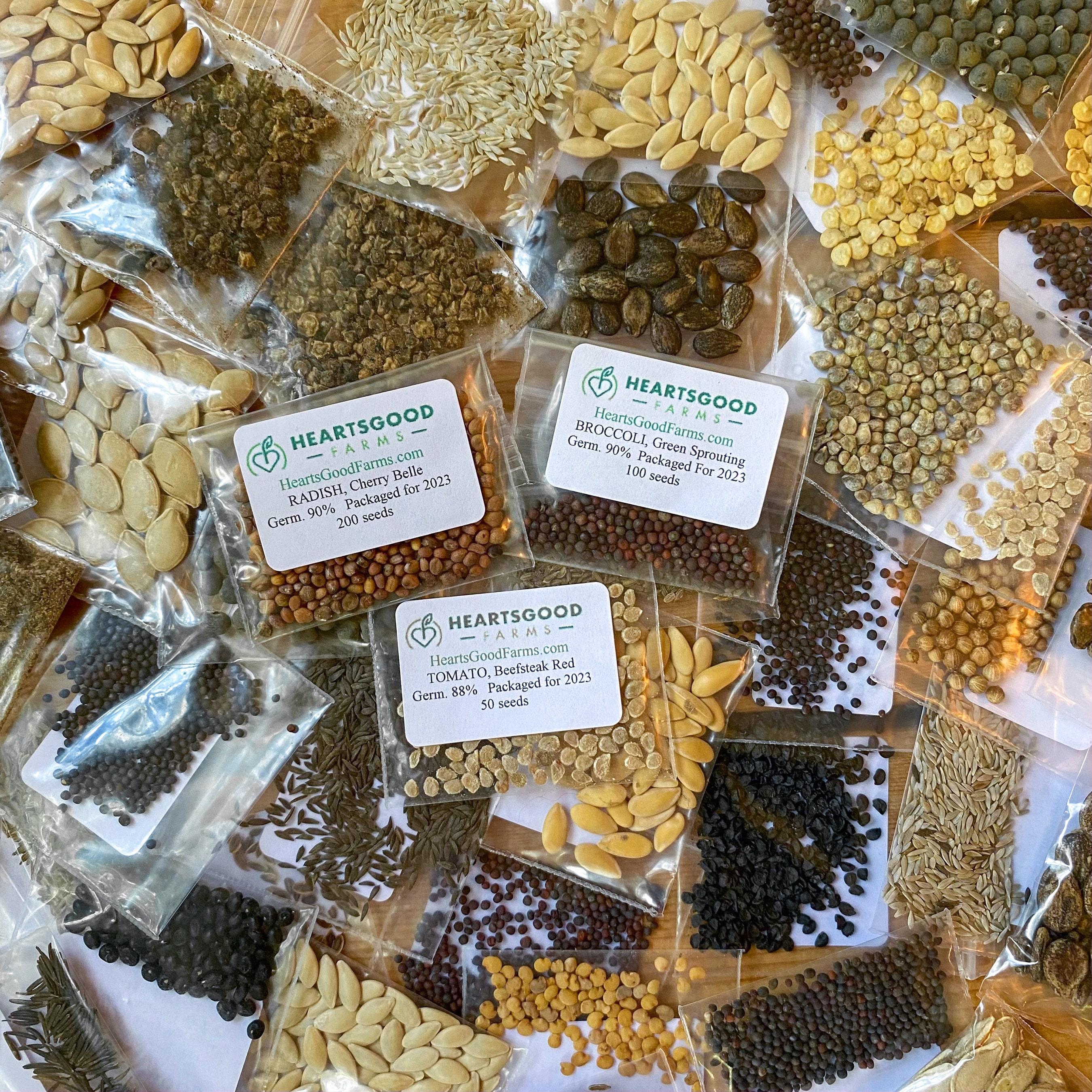 50 Variety Heirloom Seed Kit - Etsy
