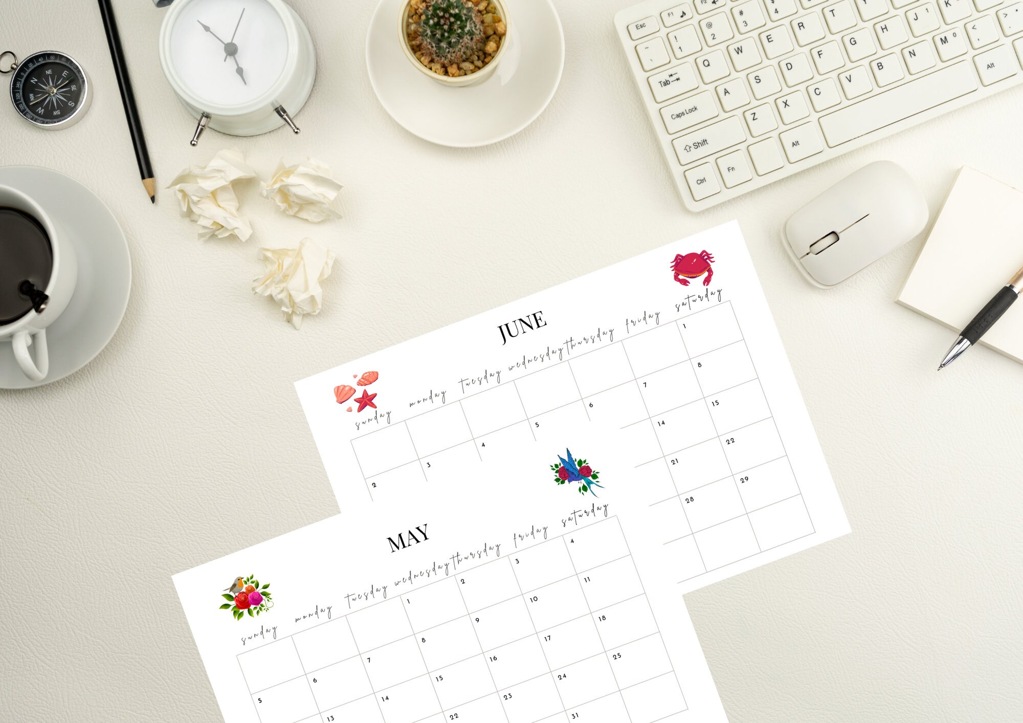 2024 Monthly Calendar Horizontal A4 Size Sunday Start English - Etsy