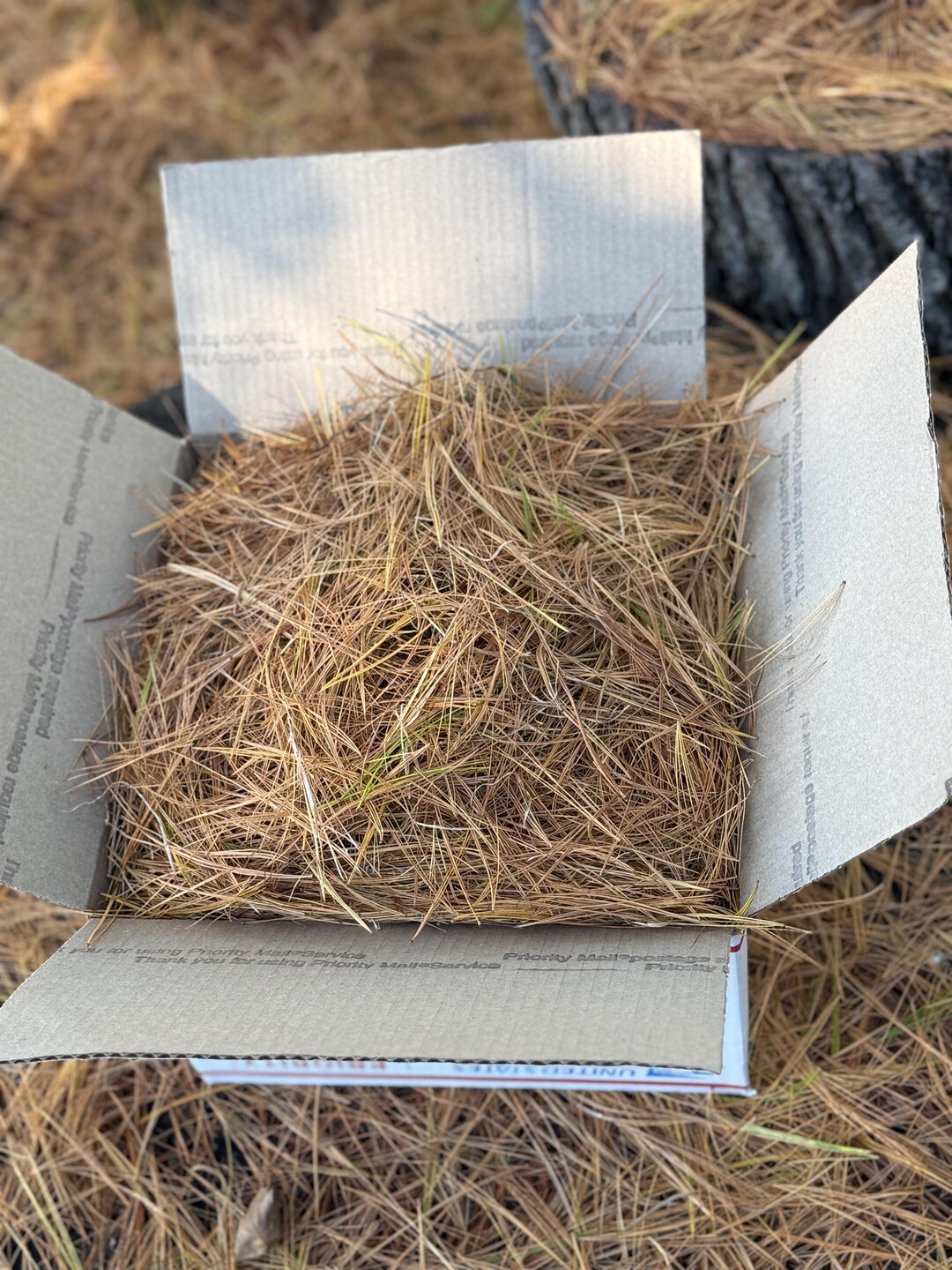Fresh Pine Straw Needles – Organic Garden Mulch, Craft Supply (3lb Box ...