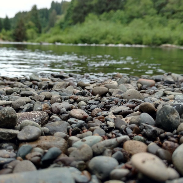 River Rock Art - Etsy