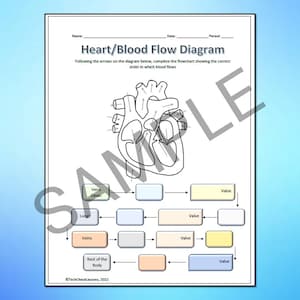 Human Heart Parts and Blood Flow Labeling Worksheets - Diagram/graphic ...