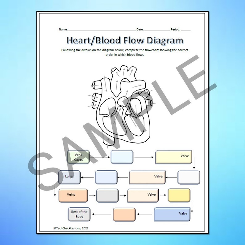 Human Heart Parts and Blood Flow Labeling Worksheets - Diagram/graphic ...