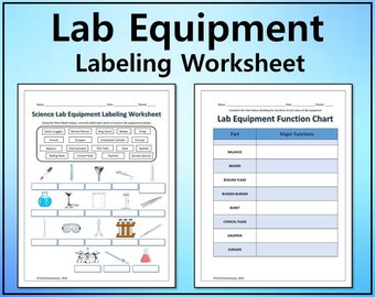 Science Lab Equipment Labeling & Functions Worksheet/printable/graphic ...