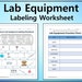 Science Lab Equipment Labeling & Functions Worksheet/printable/graphic ...