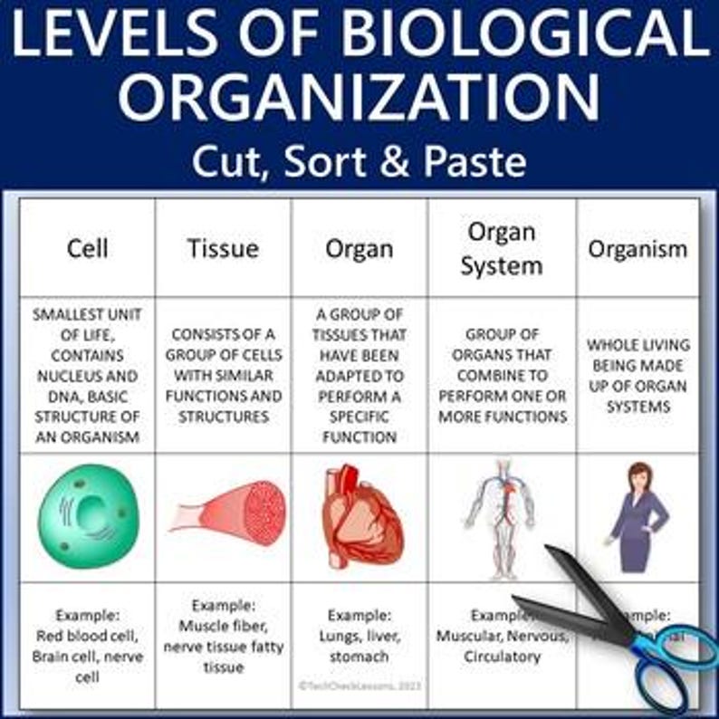 Levels of Biological Organization Cut, Sort and Paste - Science ...