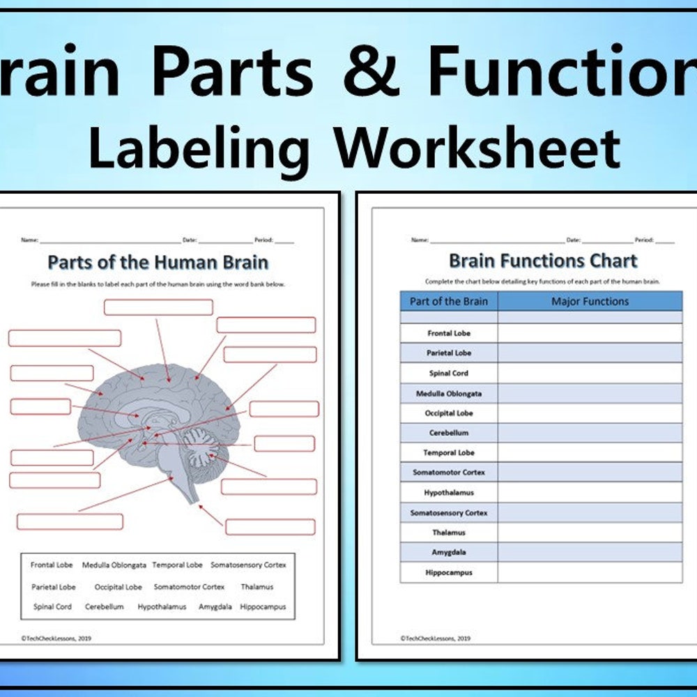 TechCheckLessons - Etsy