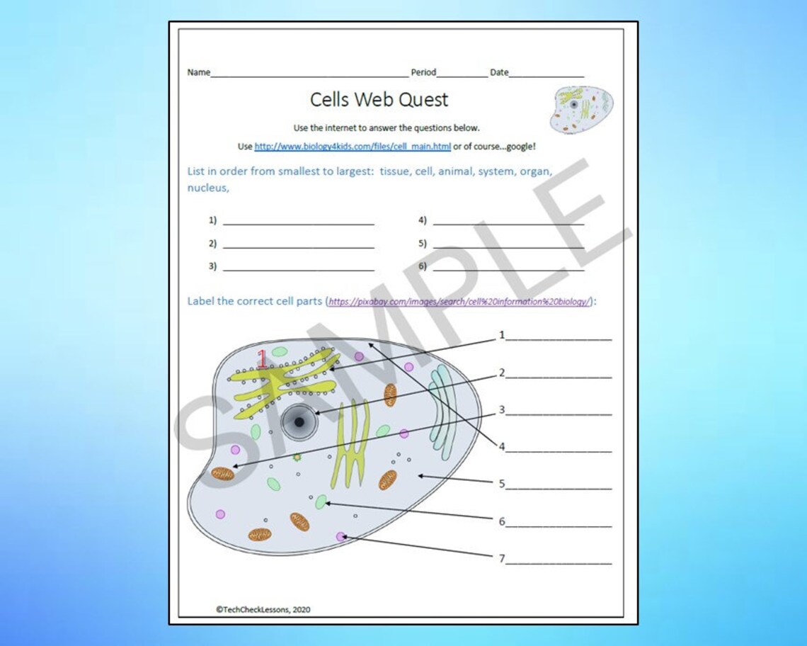 Animal Cells Webquest - Biology Science Internet Activity - Editable ...