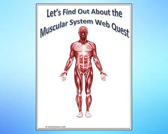 Circulatory System Science Webquest Internet Activity Editable DIGITAL ...