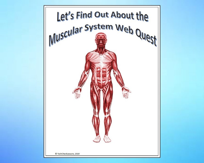 Muscular System Science Webquest Internet Activity Editable DIGITAL ...