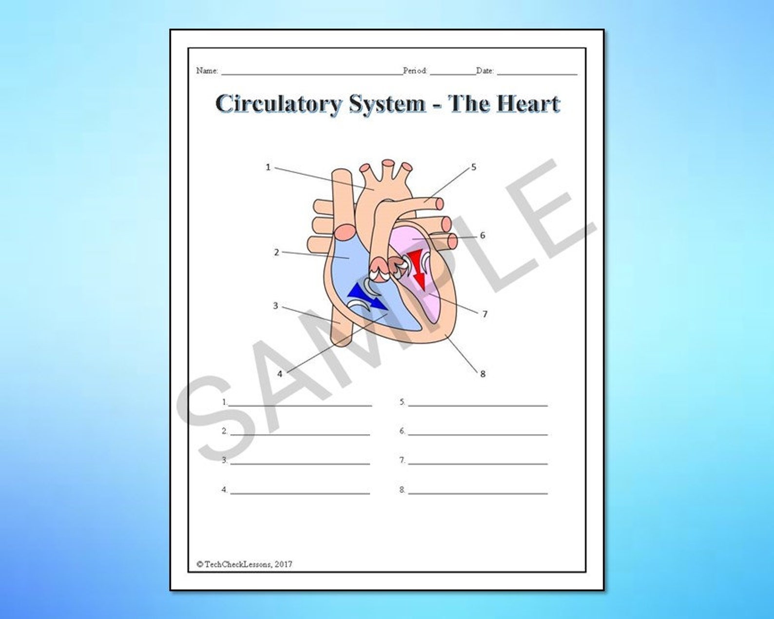 Human Body Systems Labeling Worksheets/activity/printable Bundle ...