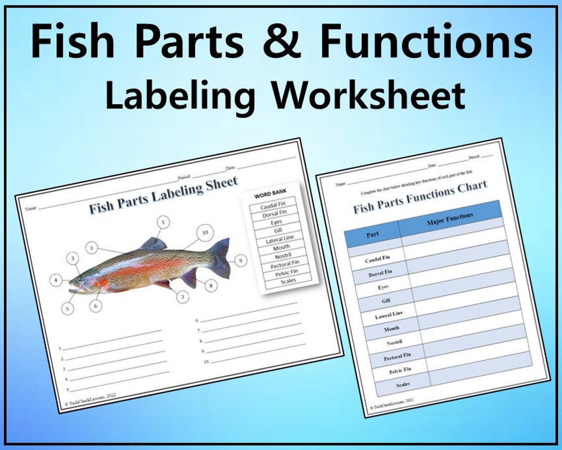 Fish Parts & Functions Labeling Worksheet - Editable DIGITAL DOWNLOAD ...