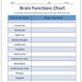 Parts and Functions of the Brain Labeling Worksheet - Science Editable ...