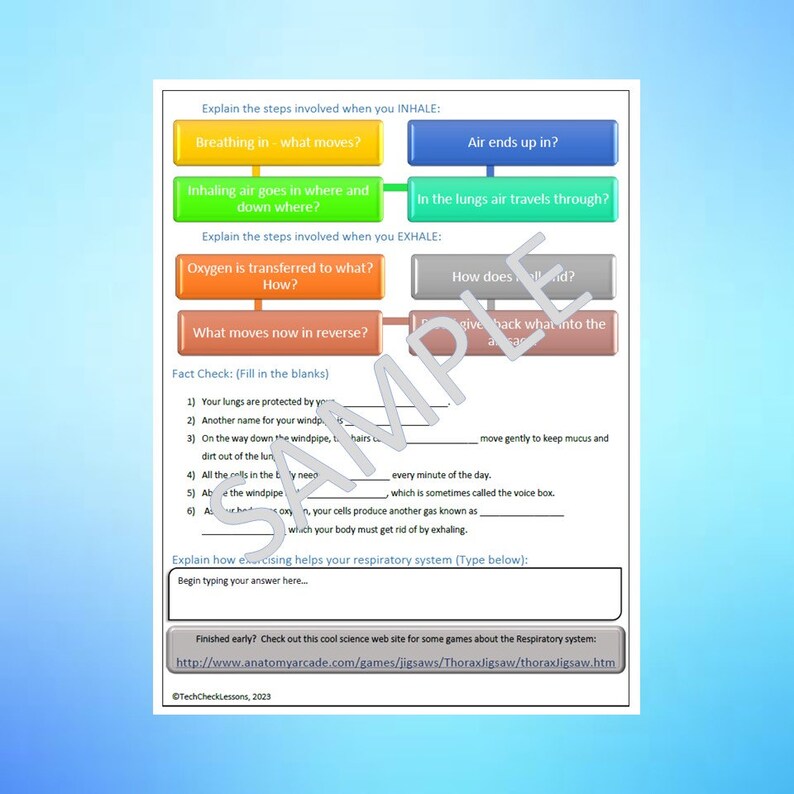 Body Systems Webquests Bundle (8) - Science - Editable DIGITAL DOWNLOAD ...