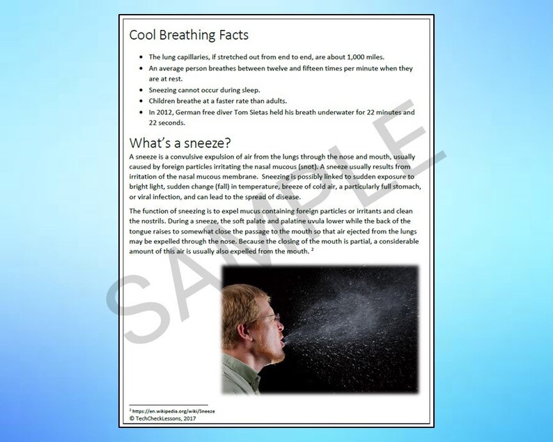 Respiratory System Science Webquest Internet Activity - Editable ...