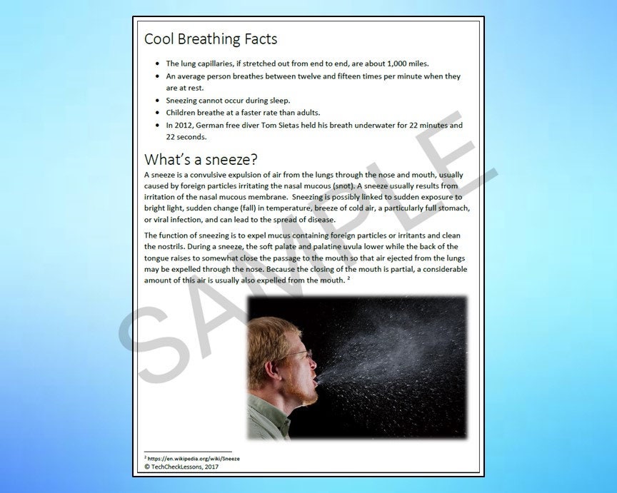 Respiratory System Science Webquest Internet Activity - Editable ...