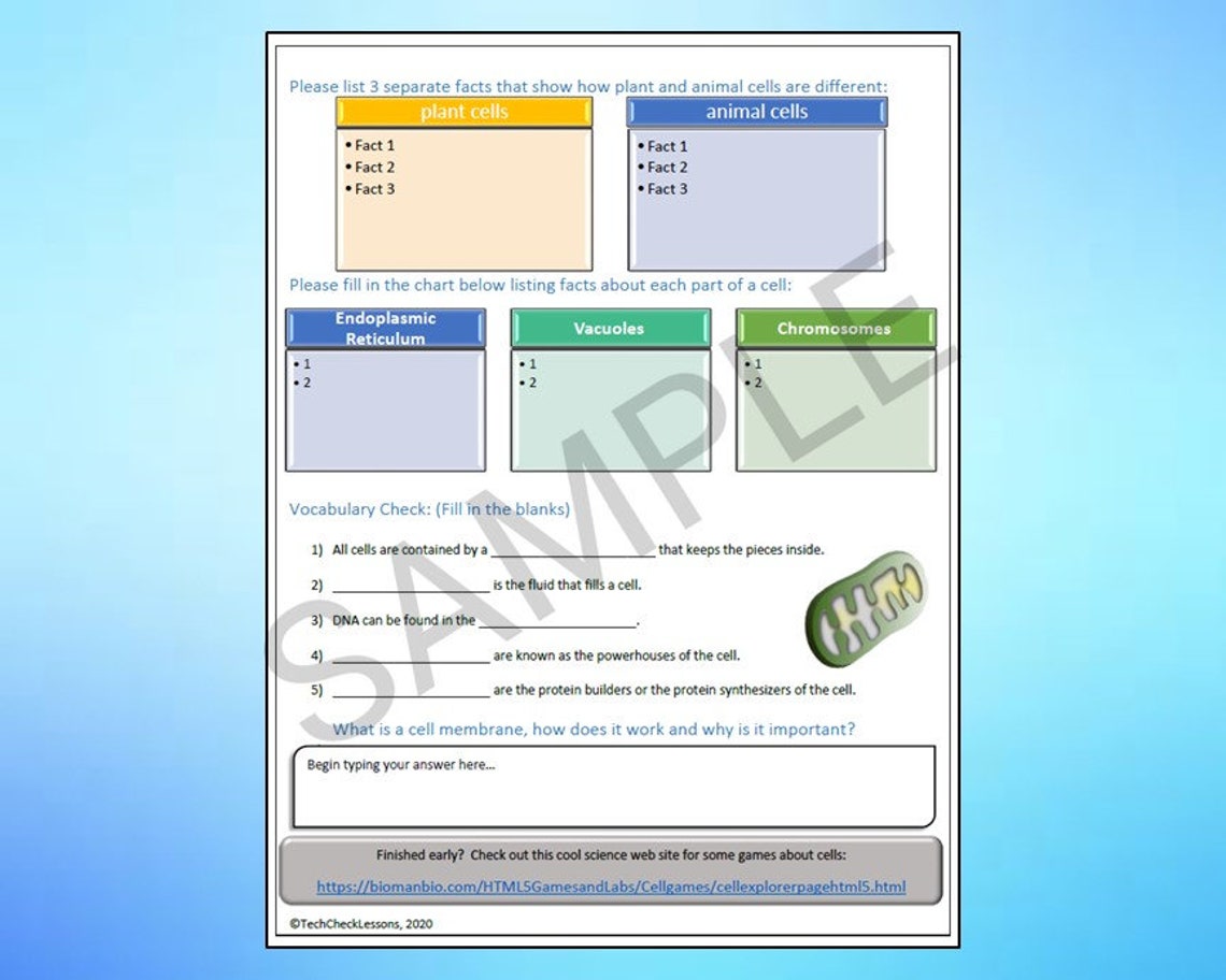 Animal Cells Webquest - Biology Science Internet Activity - Editable ...