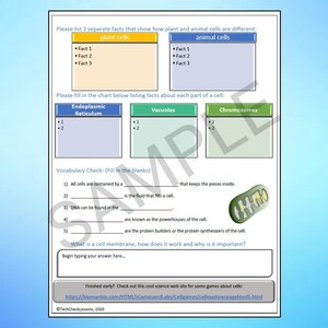 Animal Cells Webquest - Biology Science Internet Activity - Editable ...
