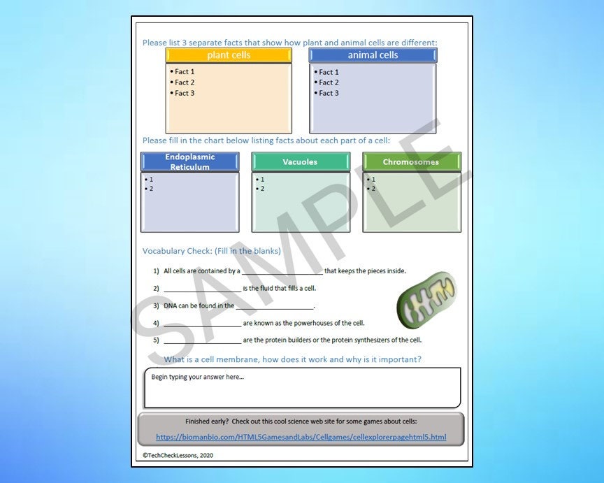Animal Cells Webquest - Biology Science Internet Activity - Editable ...