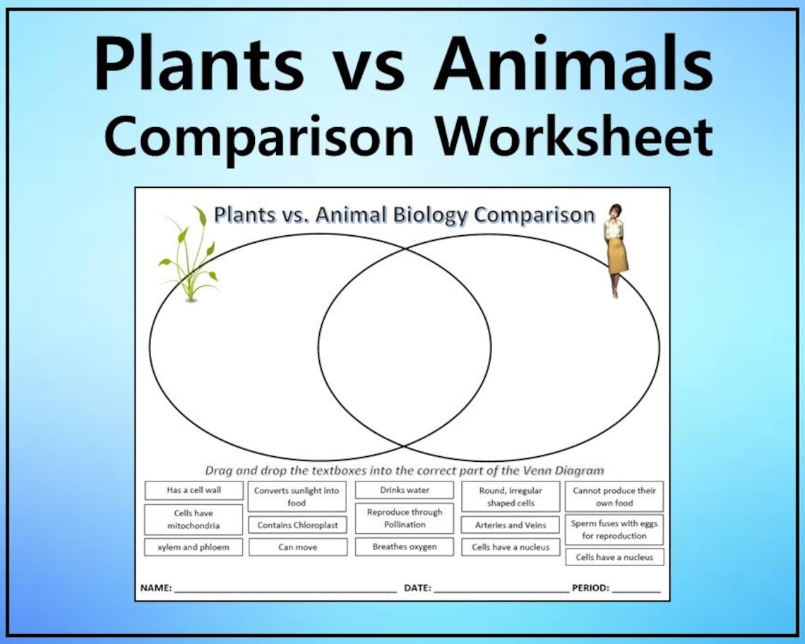Plants Vs Animals Biology Comparison Worksheet Science - Etsy Plants Vs Animals Biology Comparison Worksheet Science - Etsy
