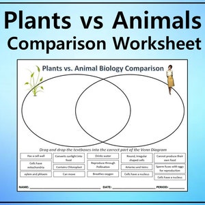 Plants Vs Animals Biology Comparison Worksheet - Science Editable ...