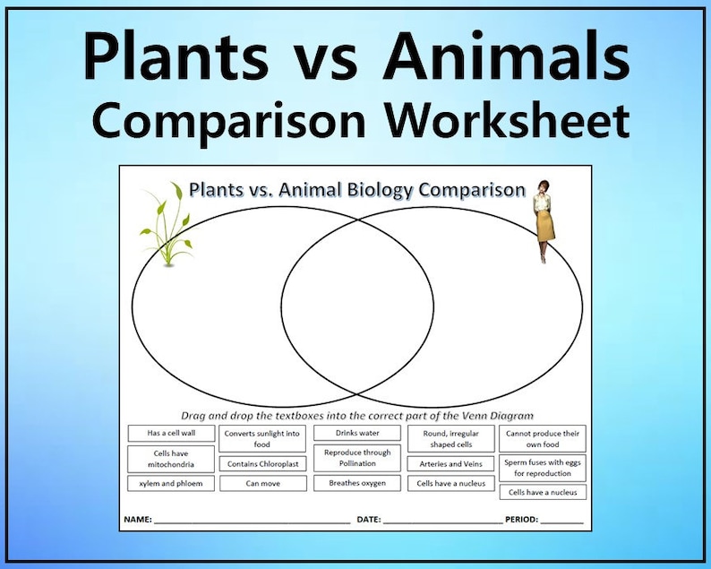 Plants Vs Animals Biology Comparison Worksheet - Science Editable ...