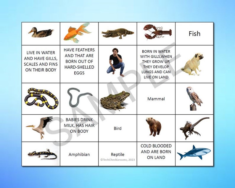 Vertebrates Cut Sort and Paste Worksheet Activity - Science Editable ...