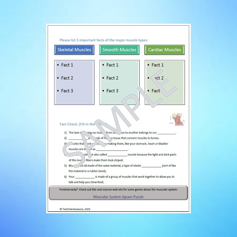 Body Systems Webquests Bundle (8) - Science - Editable DIGITAL DOWNLOAD ...