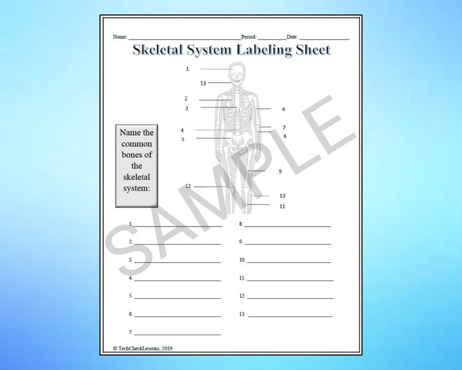Skeletal System Labeling Worksheet Science Editable DIGITAL DOWNLOAD - Etsy