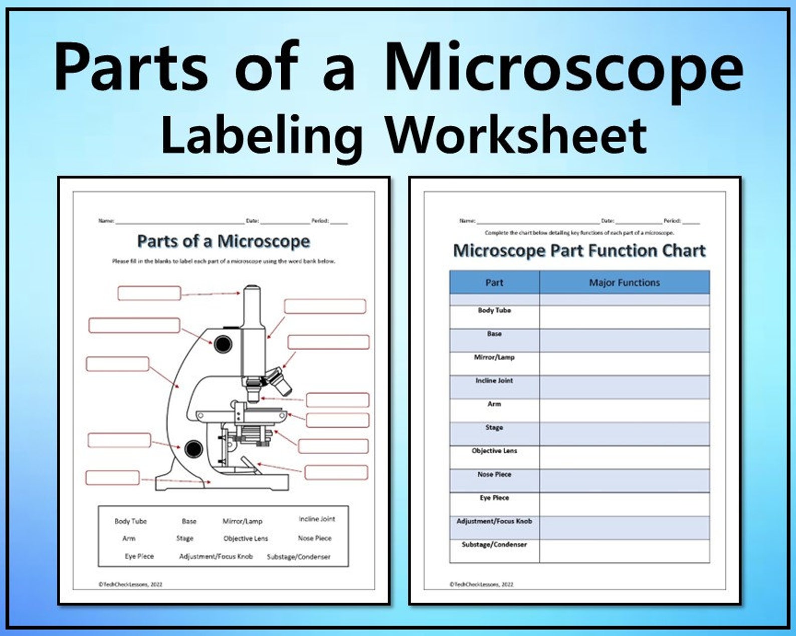 Parts of a Microscope Labeling & Functions Worksheet - Science Editable ...