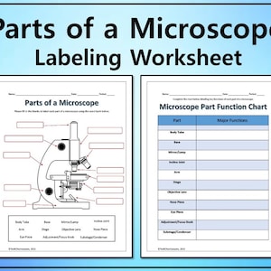 Parts of a Microscope Labeling & Functions Worksheet - Science Editable ...