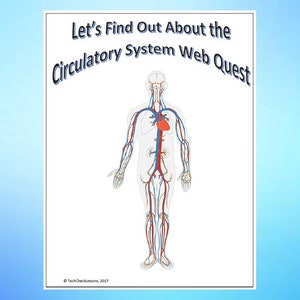Circulatory System Science Webquest Internet Activity - Editable ...