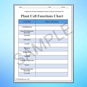 Plant Cell Labeling & Functions Science Worksheet - Editable DIGITAL ...