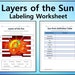 Human Body Systems Labeling Worksheets/activity/printable Bundle ...