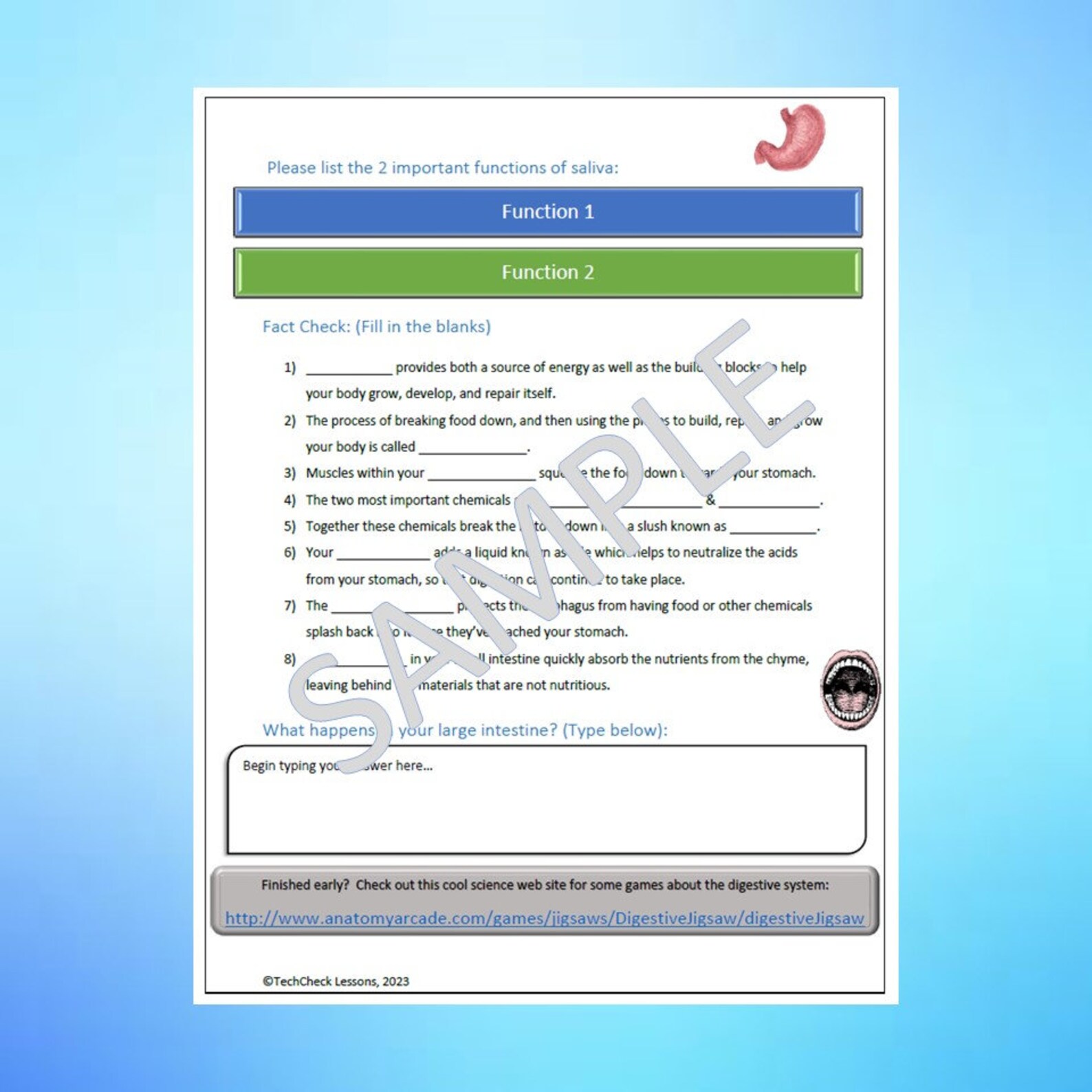 Body Systems Webquests Bundle 8 Science Editable DIGITAL DOWNLOAD - Etsy