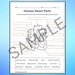 Human Heart Parts and Blood Flow Labeling Worksheets - Diagram/graphic ...