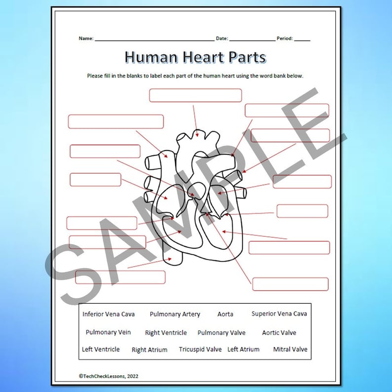 Human Heart Parts and Blood Flow Labeling Worksheets - Diagram/graphic ...
