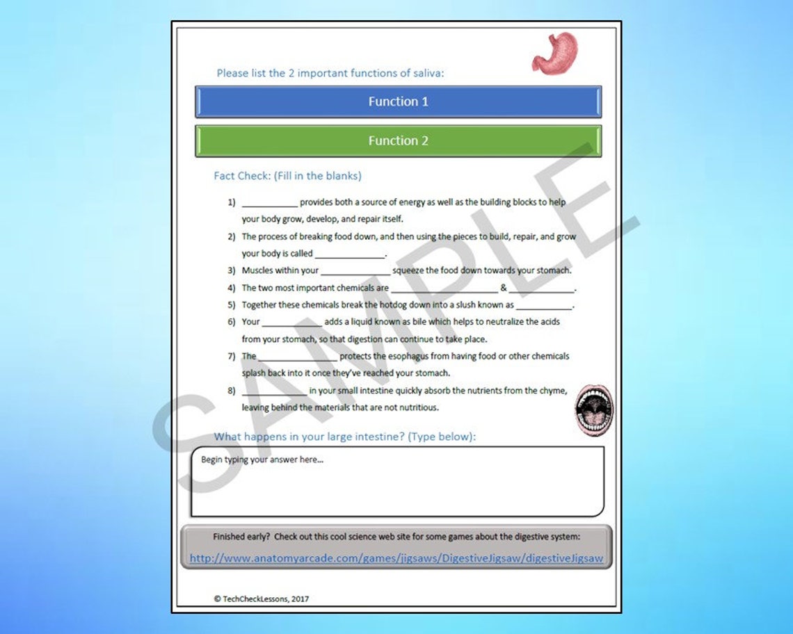 Digestive System Science Webquest Internet Activity - Editable DIGITAL ...