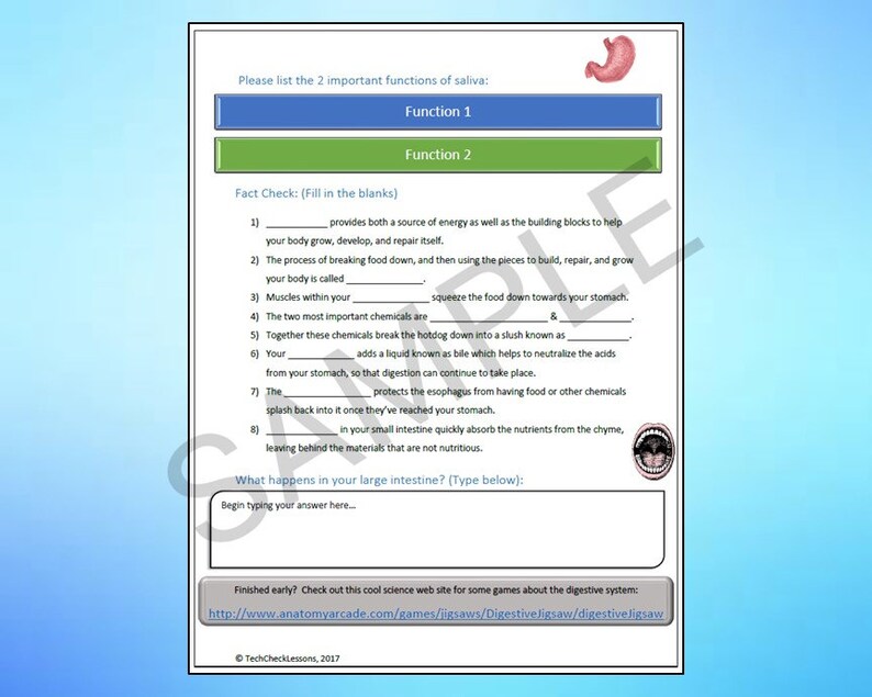 Digestive System Science Webquest Internet Activity Editable DIGITAL ...