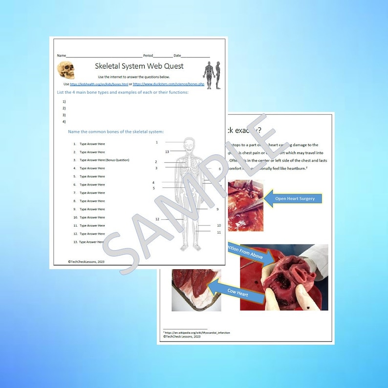 Body Systems Webquests Bundle (8) - Science - Editable DIGITAL DOWNLOAD ...