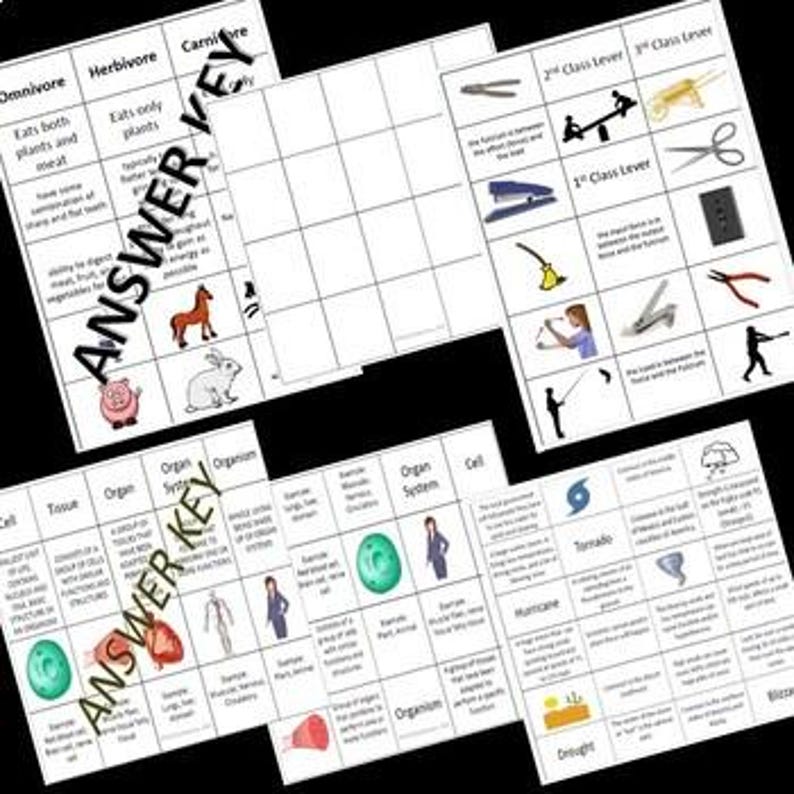 10 Elementary Cut, Sort & Paste Science Worksheets - Bundle - Printable ...
