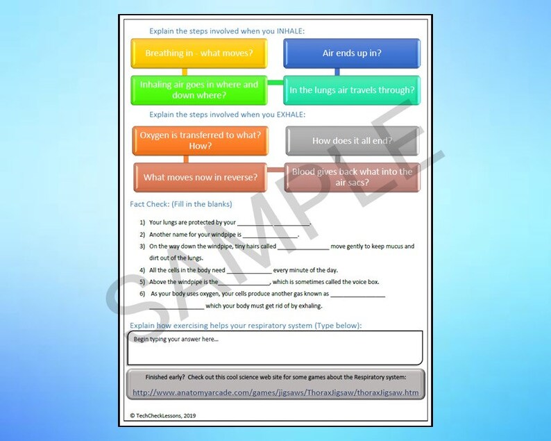 Respiratory System Science Webquest Internet Activity - Editable ...