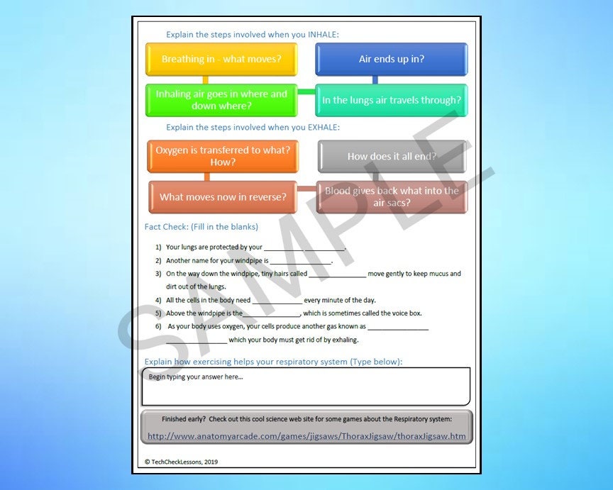 Respiratory System Science Webquest Internet Activity - Editable ...