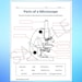 Parts of a Microscope Labeling & Functions Worksheet - Science Editable ...