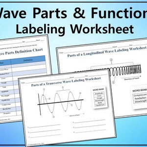 Parts of a Wave Labeling Worksheet - Science Editable DIGITAL DOWNLOAD ...
