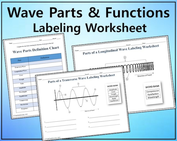 Longitudinal Wave Labeled
