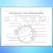 Human Eye & Ear Diagram Labeling Worksheet - Science Editable DIGITAL ...