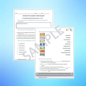 Body Systems Webquests Bundle (8) - Science - Editable DIGITAL DOWNLOAD ...