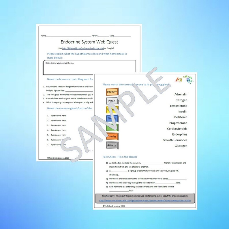 Body Systems Webquests Bundle (8) - Science - Editable DIGITAL DOWNLOAD ...
