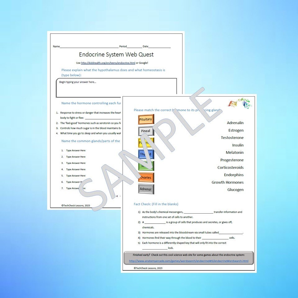 Body Systems Webquests Bundle (8) - Science - Editable DIGITAL DOWNLOAD ...